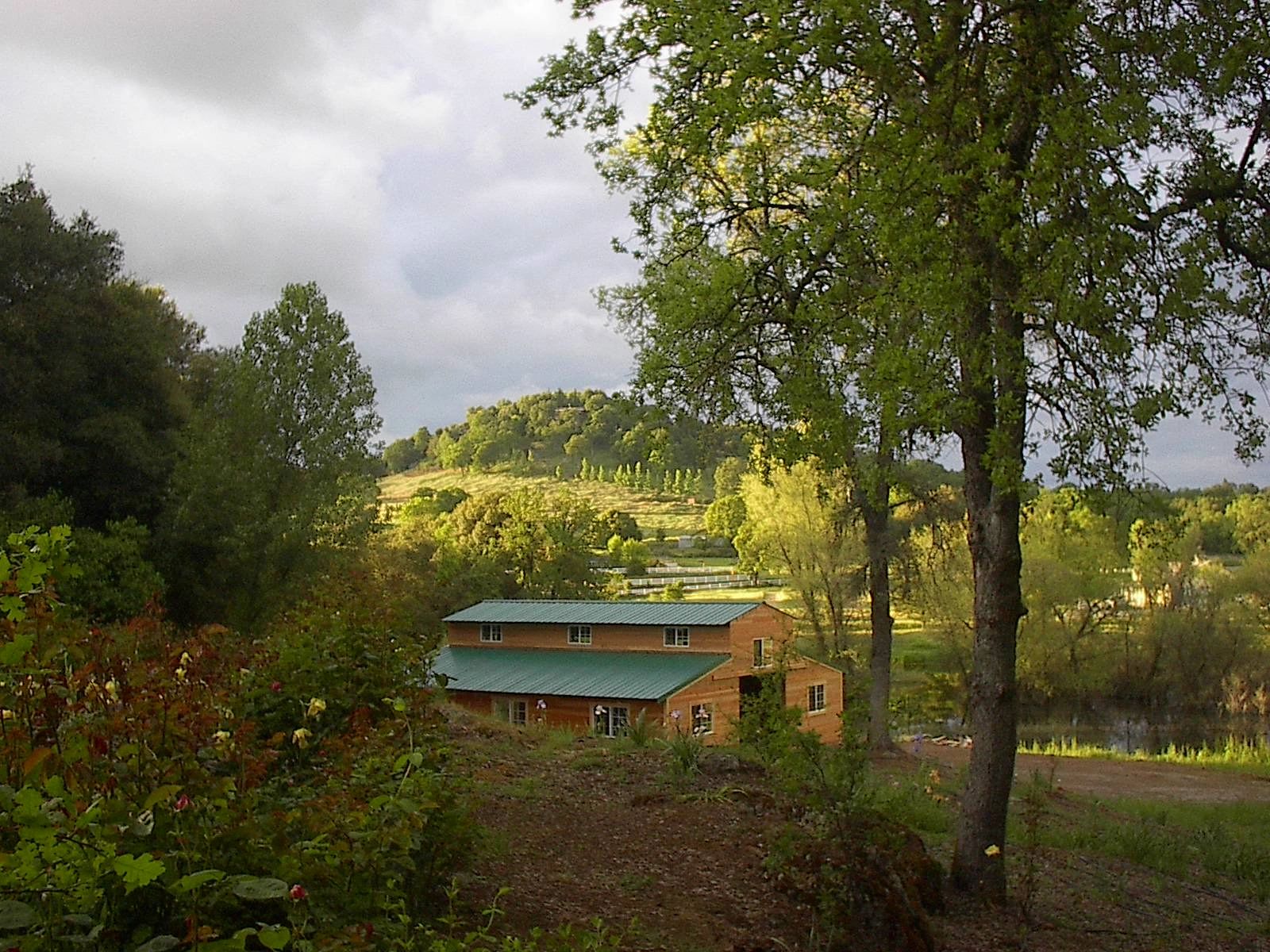 Slate Ridge Vineyard - Winery, Slate Ridge, Winery, Wine