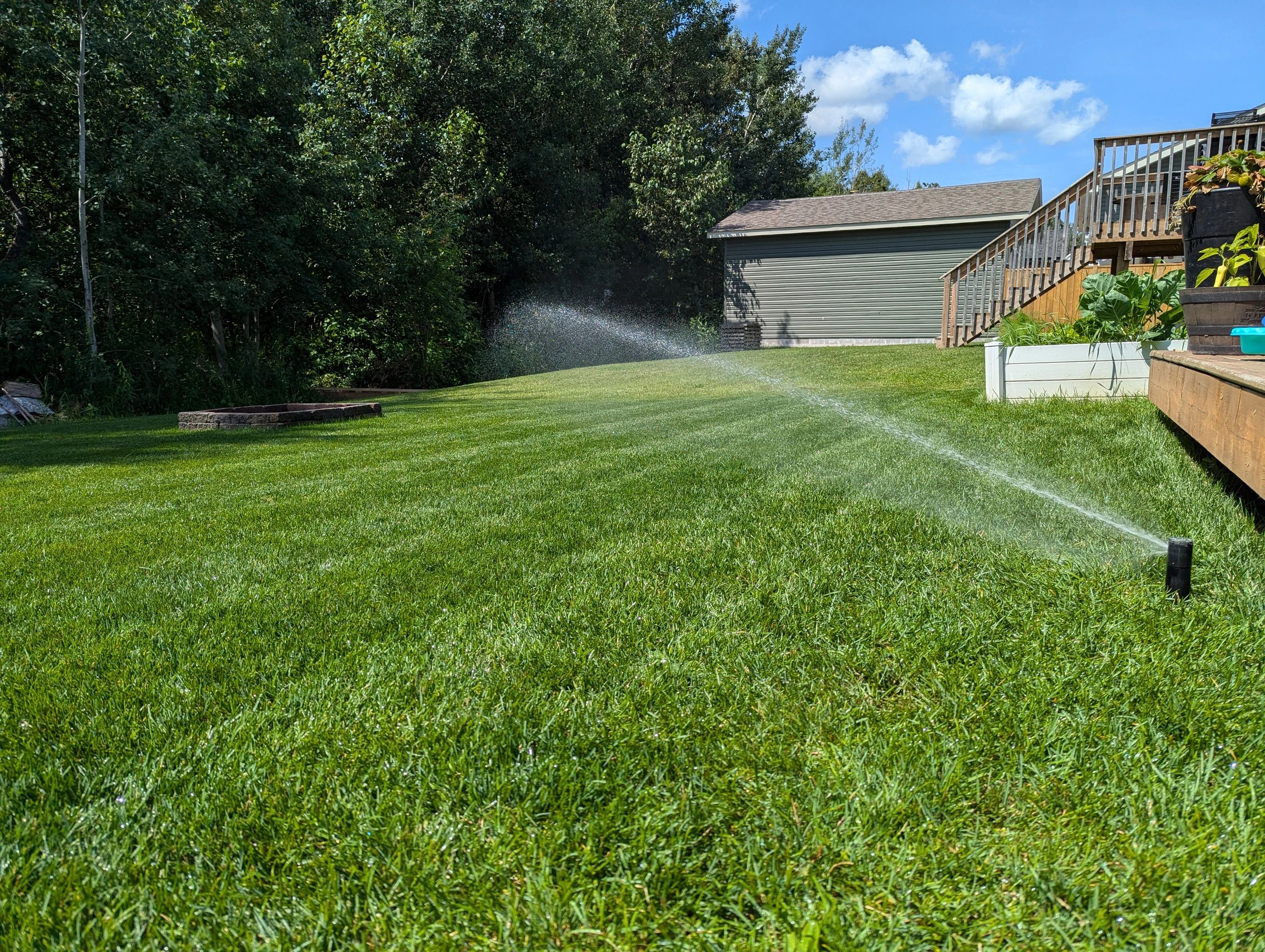 Lawn Care, Weed Control - YARD SMART - Sault Ste. Marie, Ontario