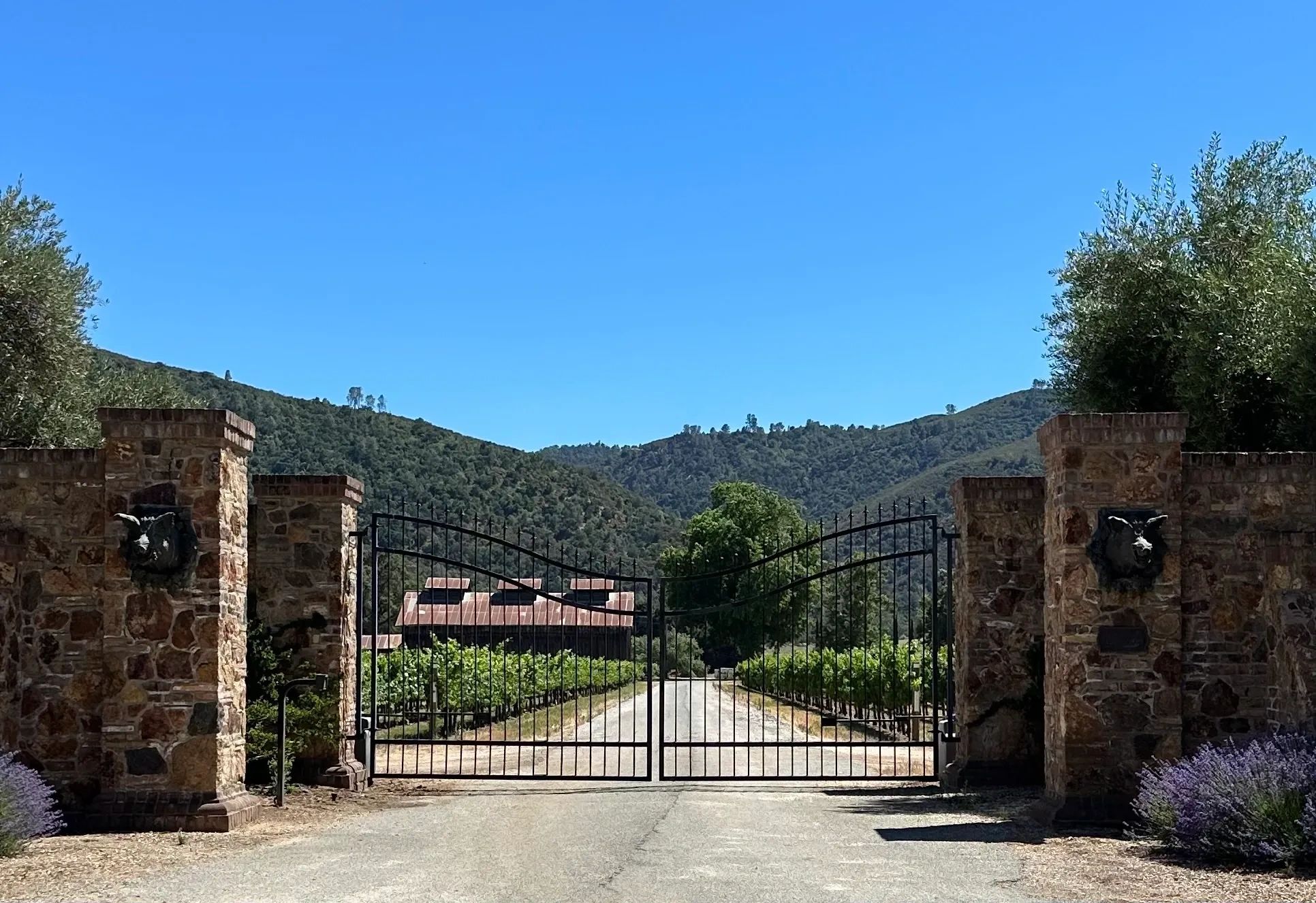 Gimelli Vineyards