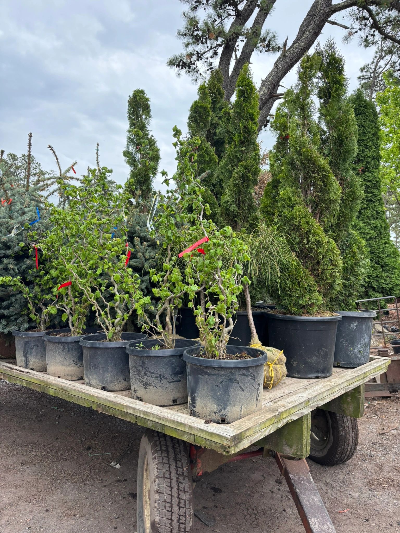 New Stock 5/9/25