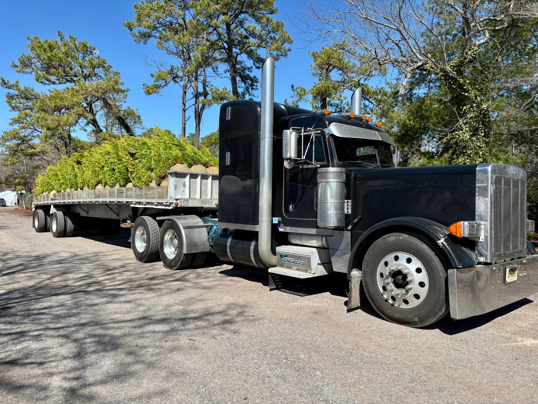 New Stock 3/19/25
