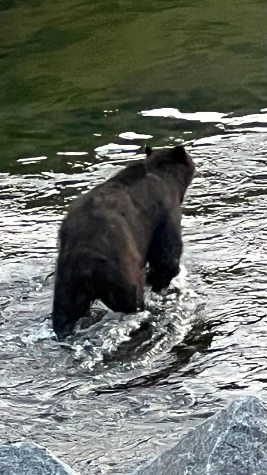 Alaska Puddle Jumpers