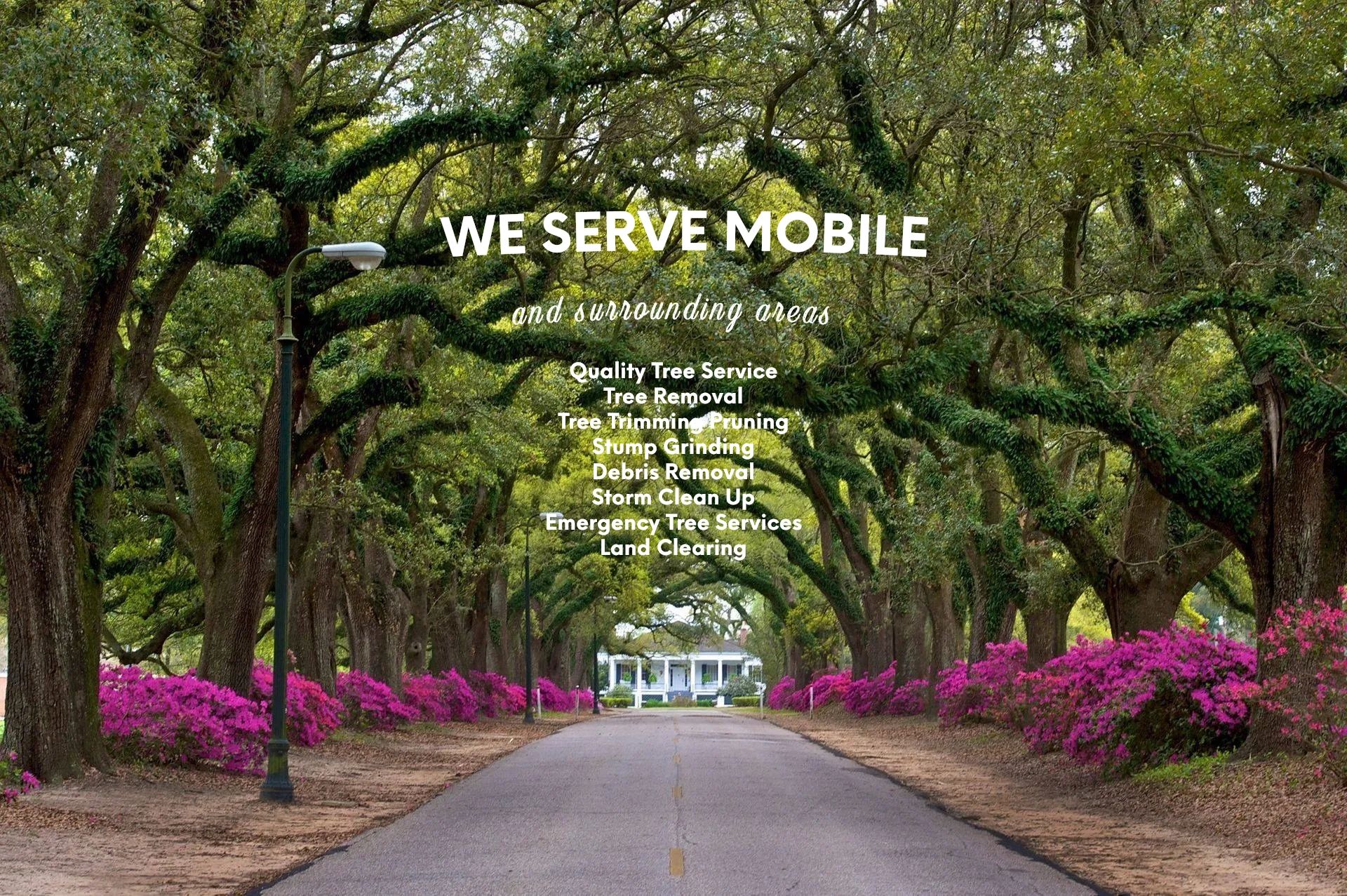 Timber Tree Service Inc