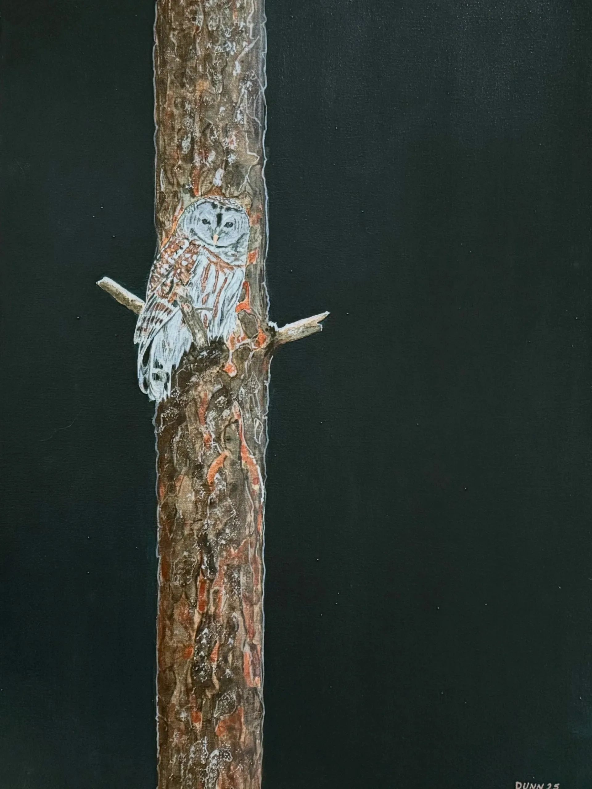 The Garden and Wildlife Art of David Dunn - Home