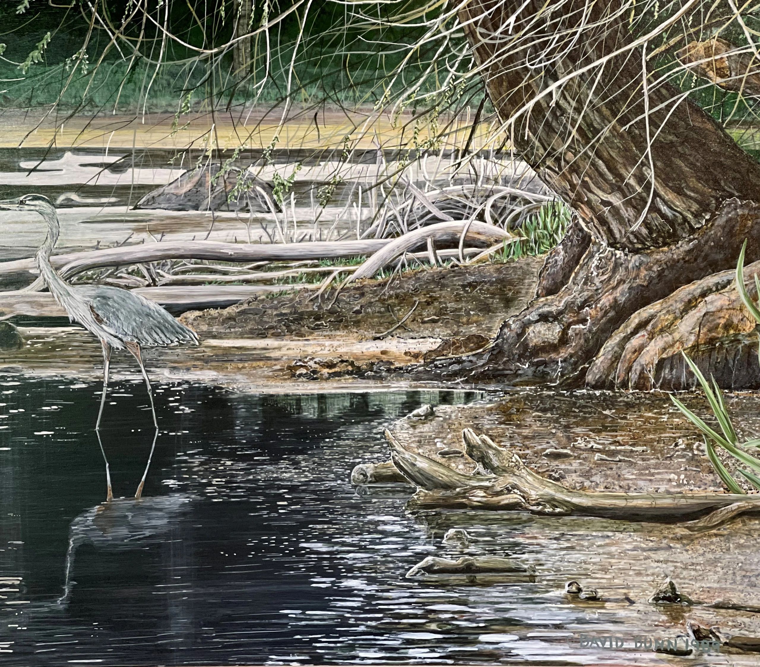 David Dunn Wildlife Art at the Merrickville Library
