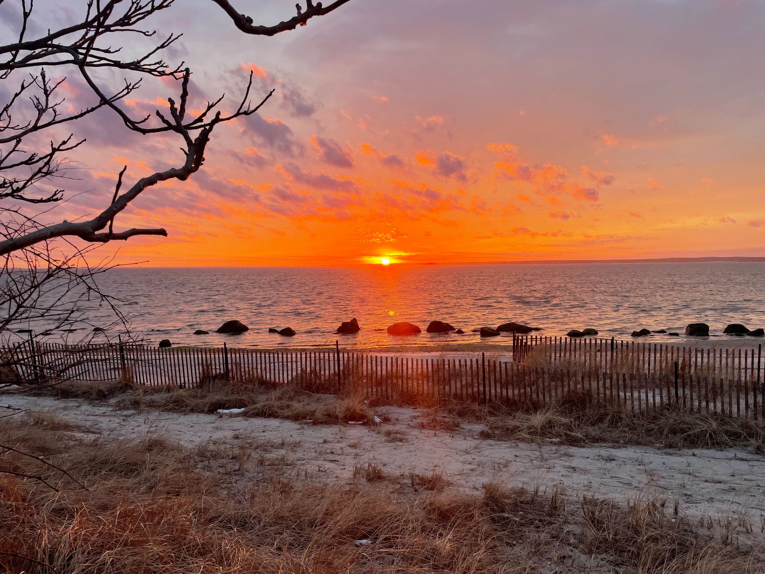 About Turtle Funding Foundation