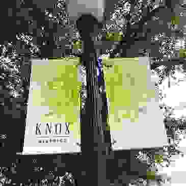 Daryan Display Holiday, Event & Party Decor