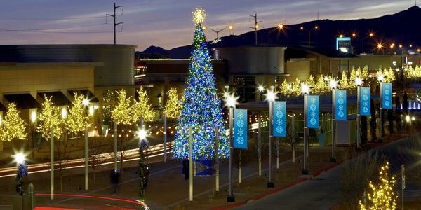 Daryan Display Holiday, Event & Party Decor