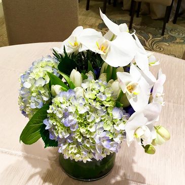 Daryan Display Holiday, Event & Party Decor