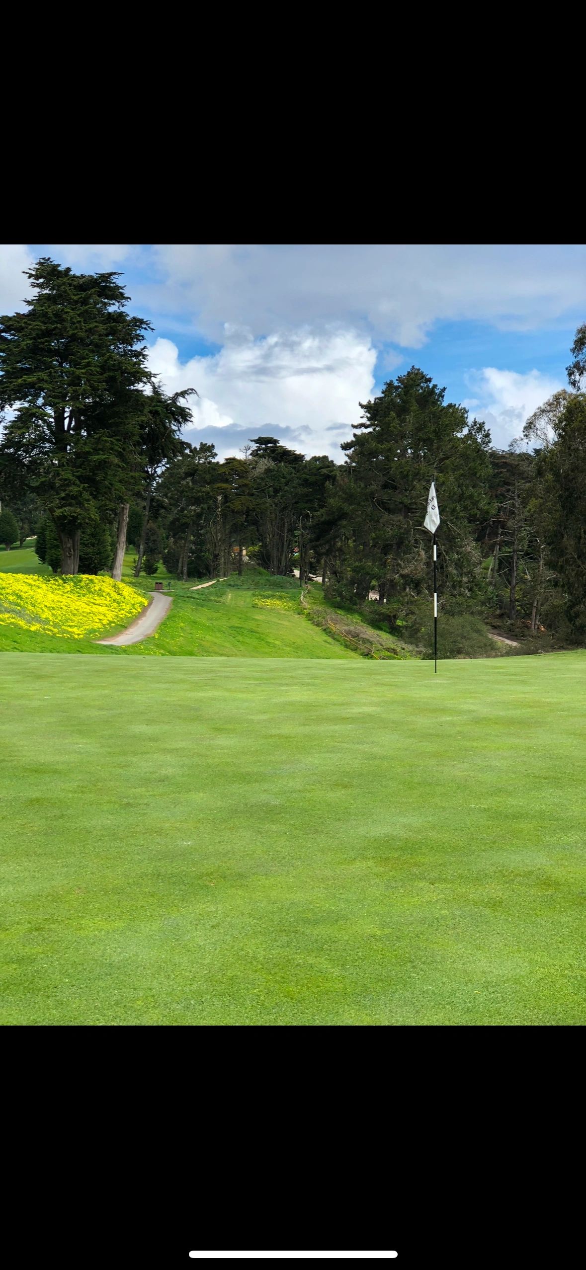 Expert Golf Instruction & Regripping Golf Clubs