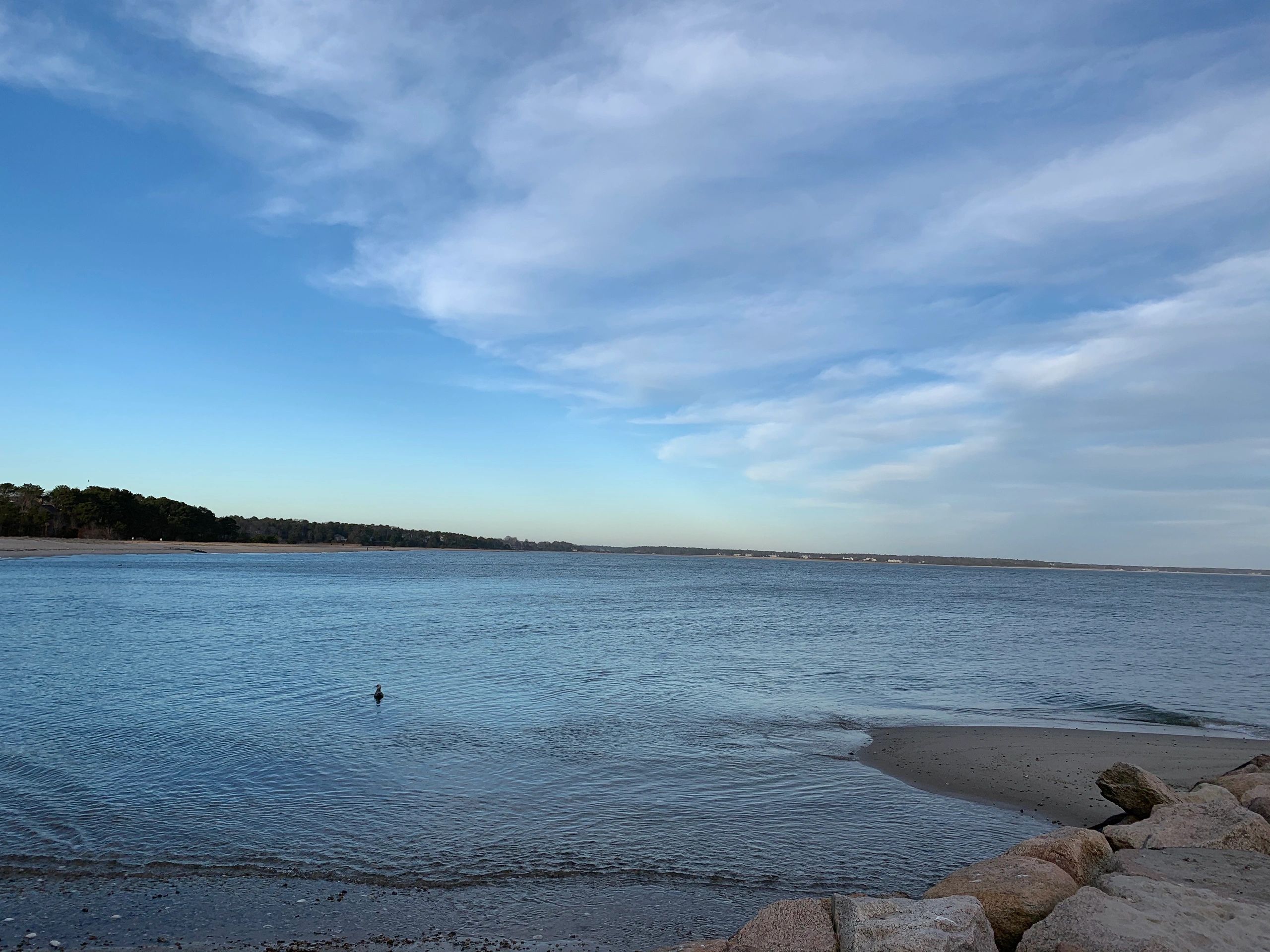 Cape Cod, Hemp, Herbs, CBD - Cotuit Bay Naturals