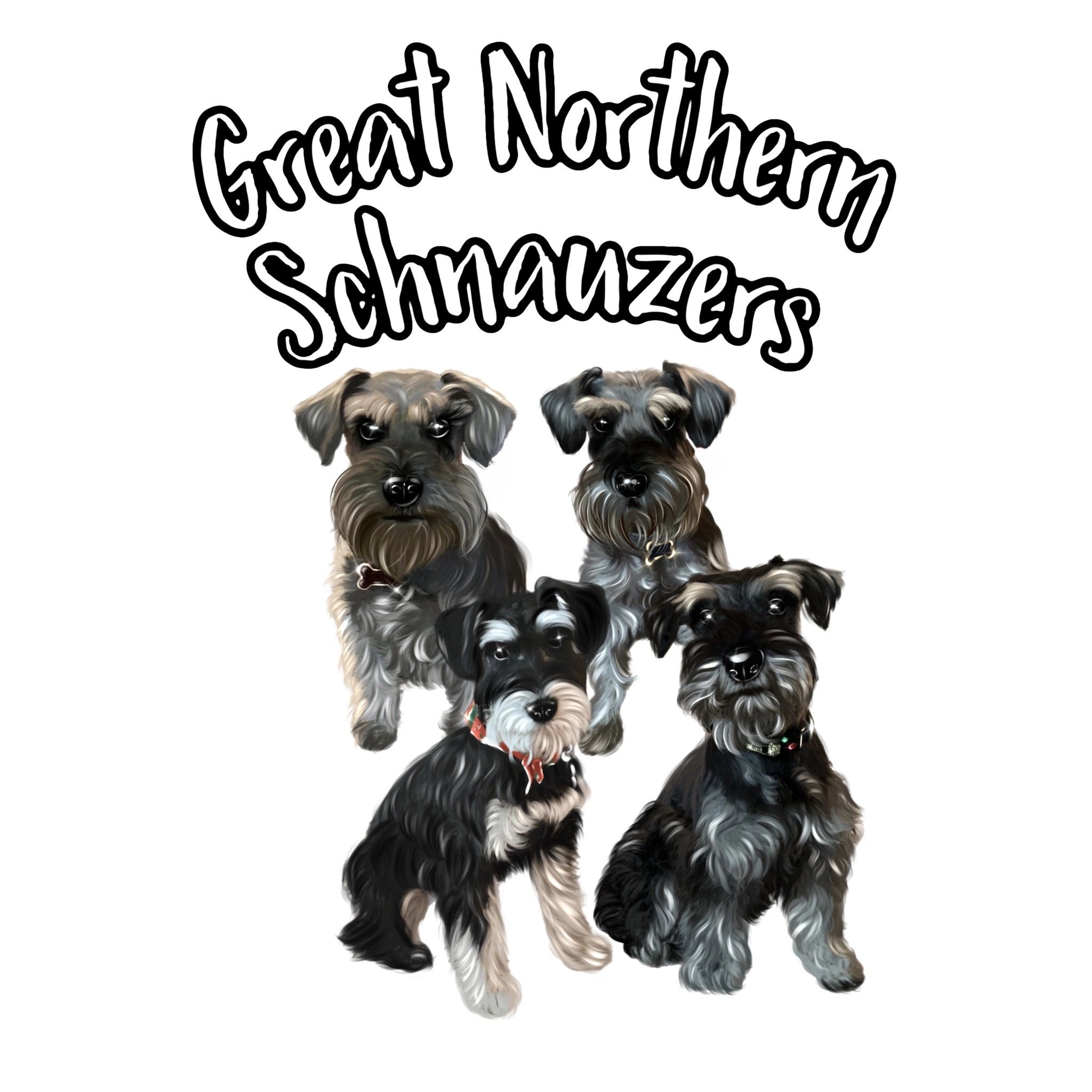 Great Northern Schnauzers - Breeding, Miniature Schnauzers