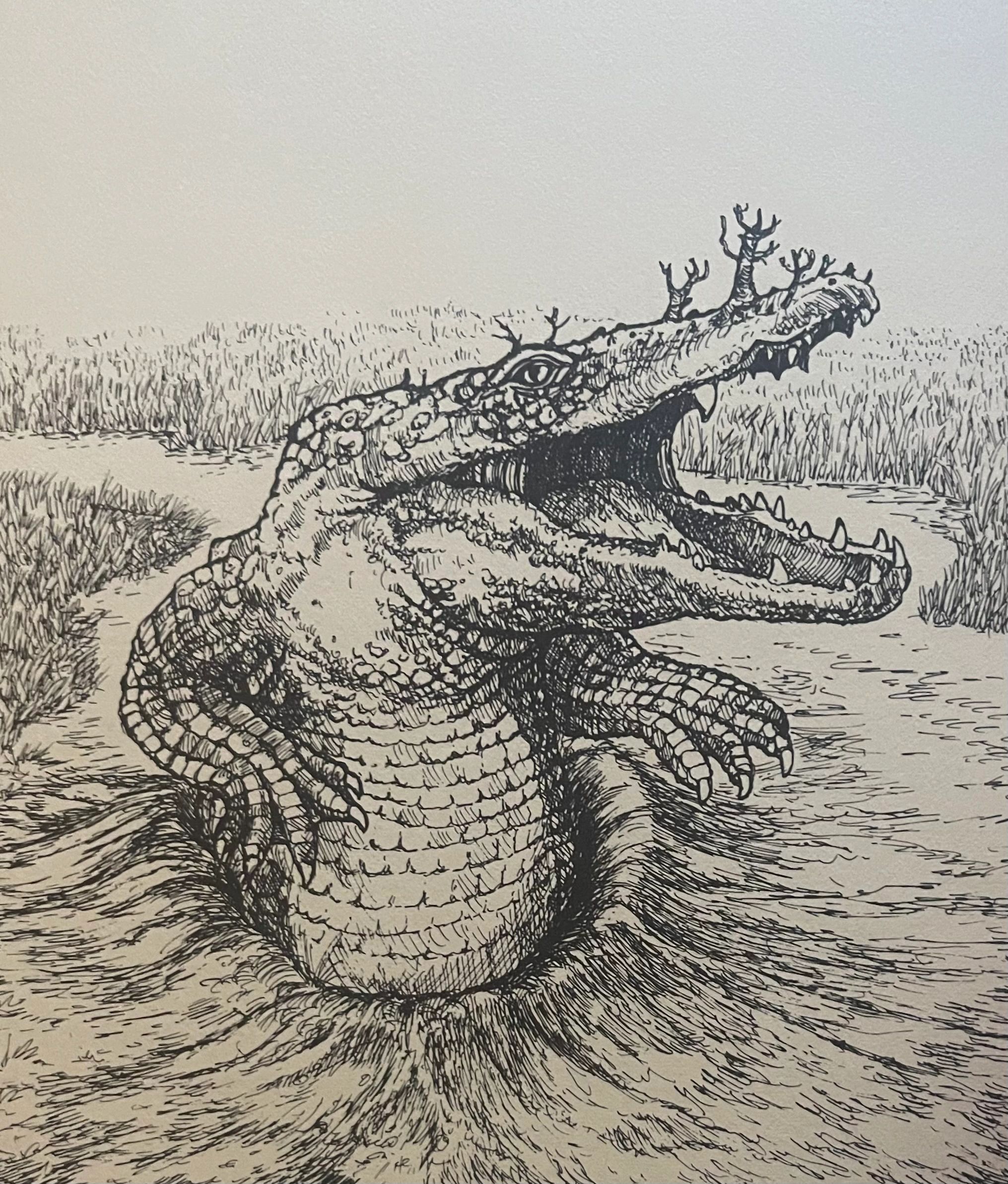 The Adirondack Swamp Auger