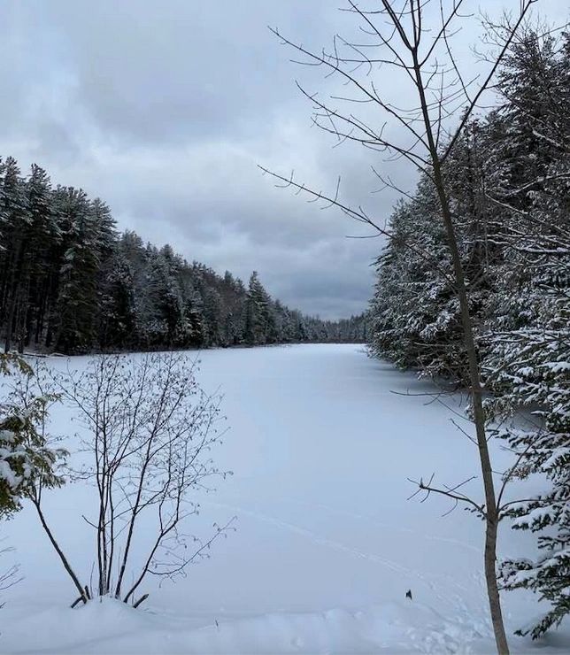 Haiku, January 6th, 2021