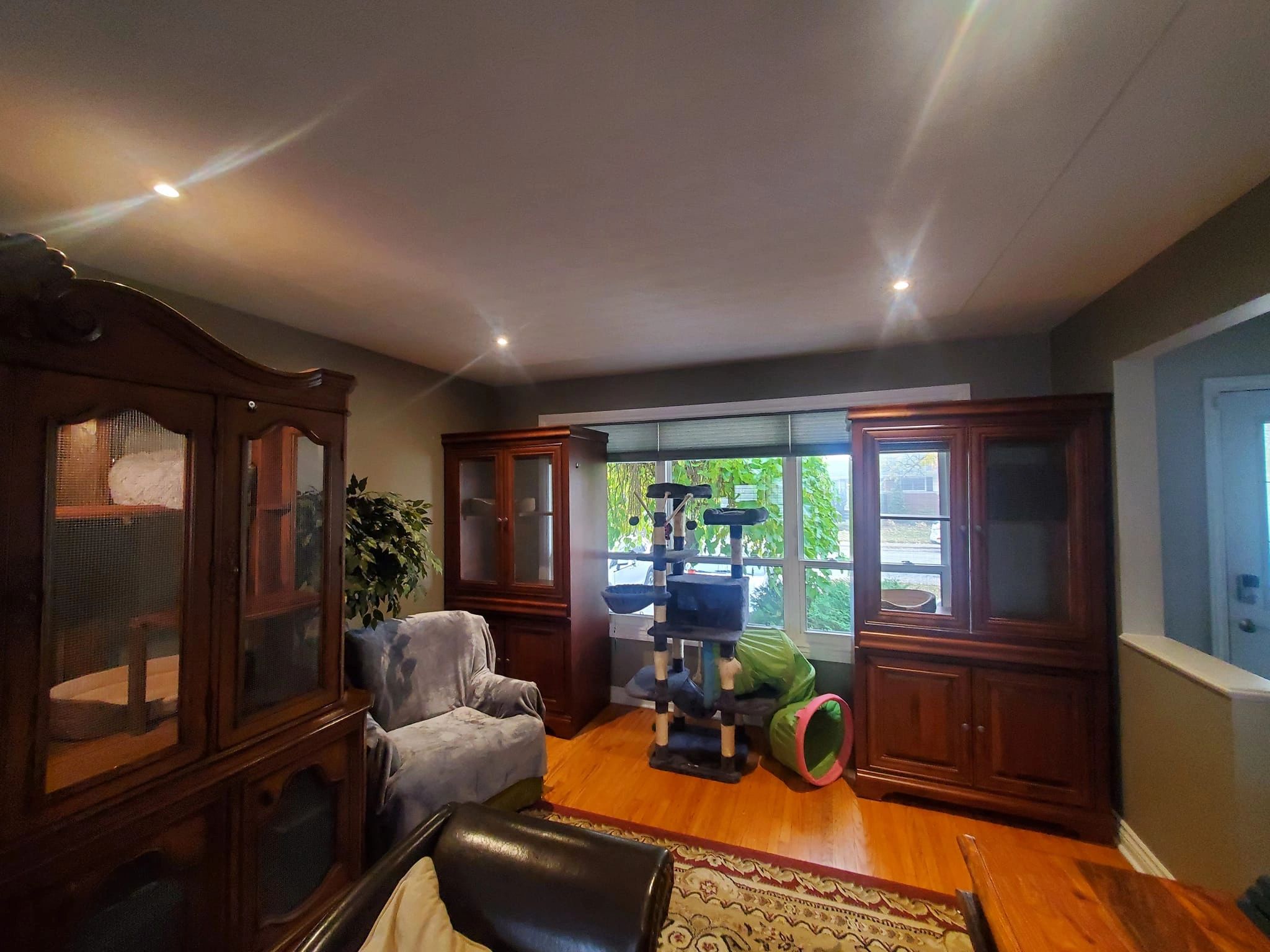 Rosie's Inn - Cat Boarding, Cat Kennel, Cat Hotel, Cat Boarding