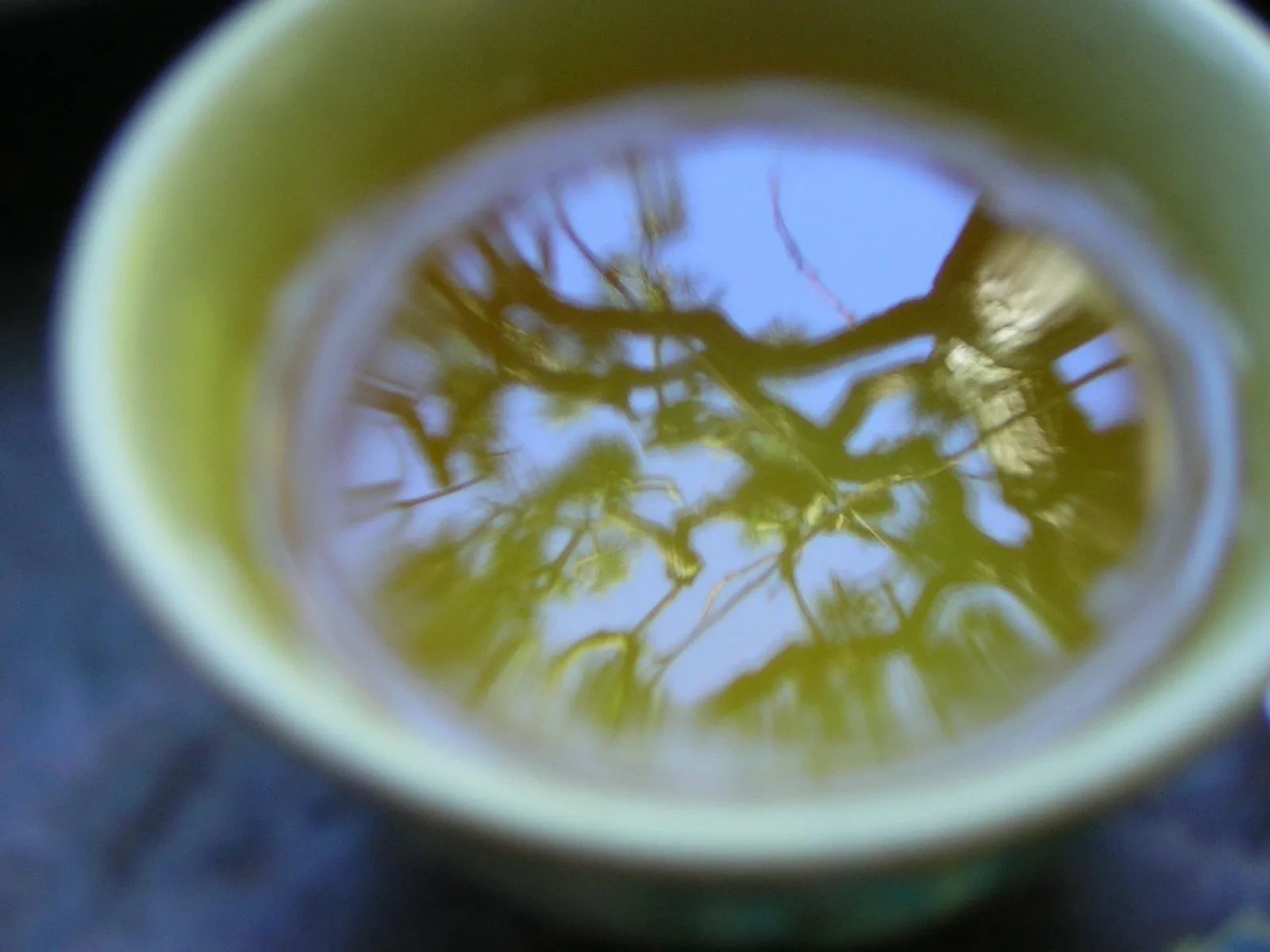 Matcha for Healing the Nervous System + Rewiring the Brain