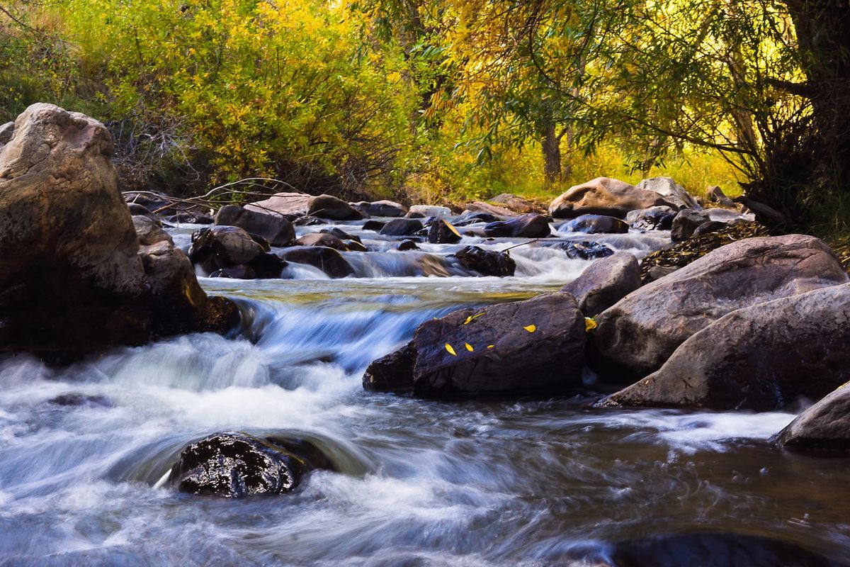 Introspection Zen in the Colorado Mountains