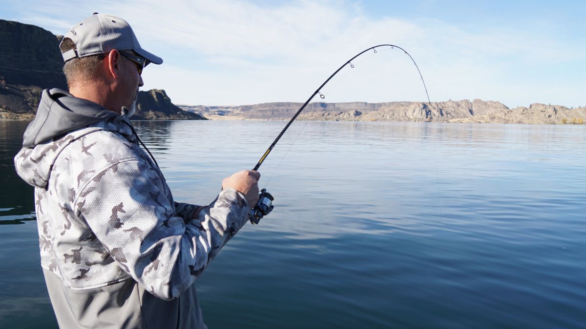 Walleye/Bass Jigging/Spinning Rod 6' 8"