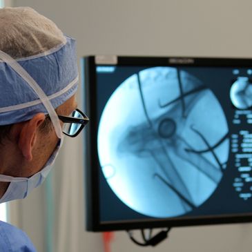 Expert Veterinary Orthopedics Services