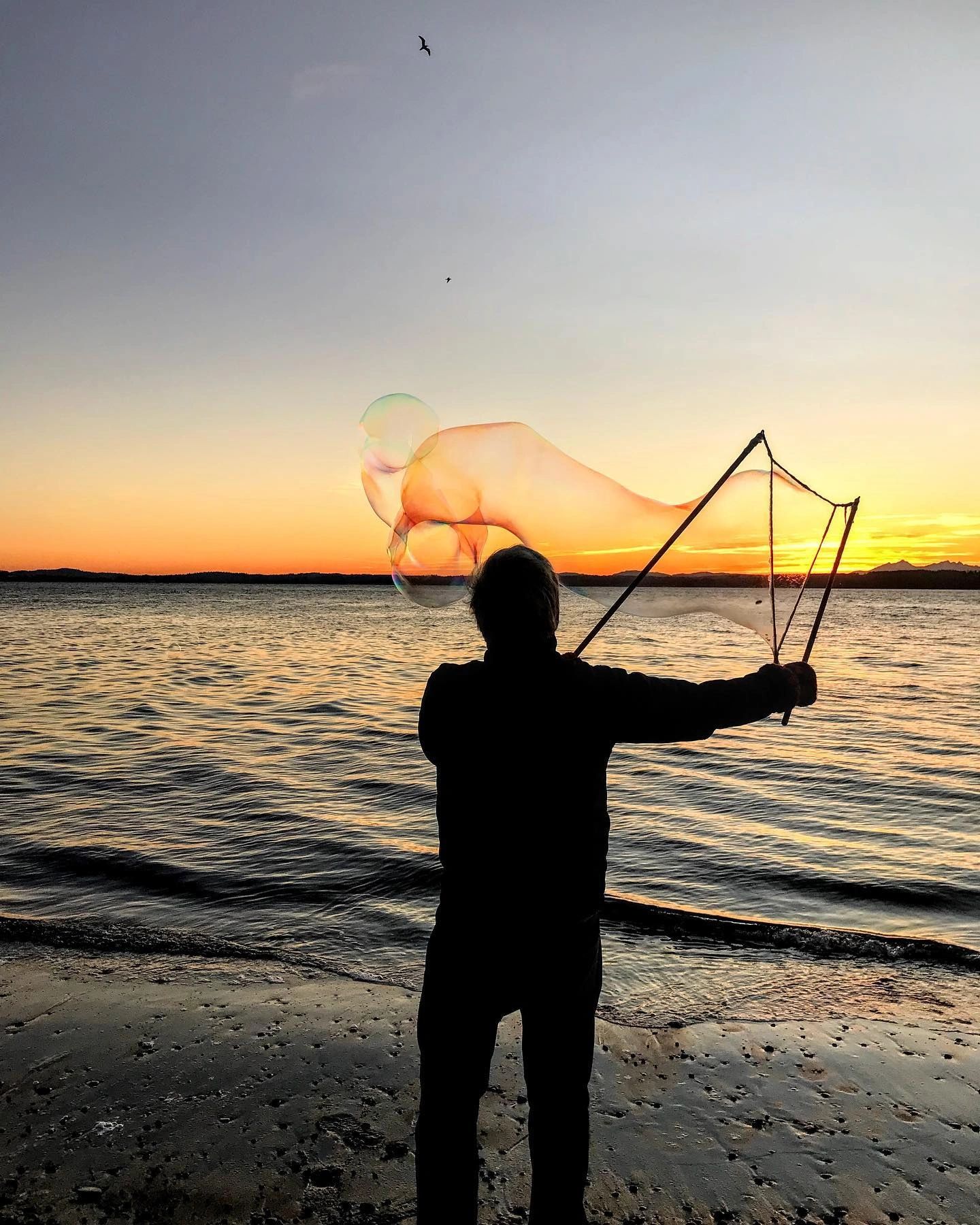 WAPI Community Services