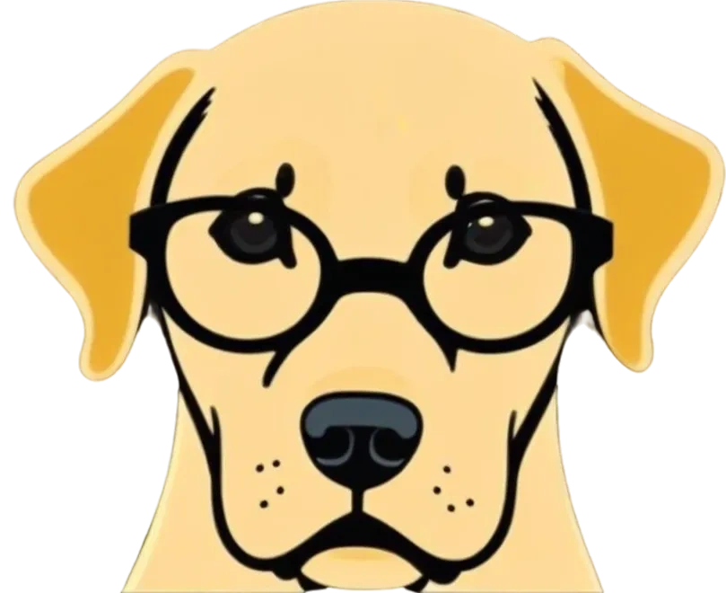 Lawgic Lab