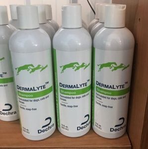 Kennel - Autumn Woods Rottweilers | Autumn Woods Rottweilers