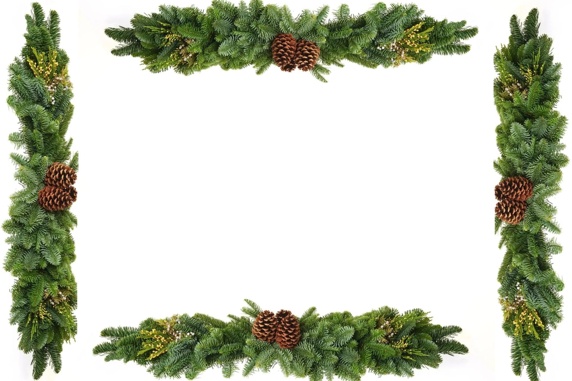Oro Evergreens Noble fir Boughs Wreaths