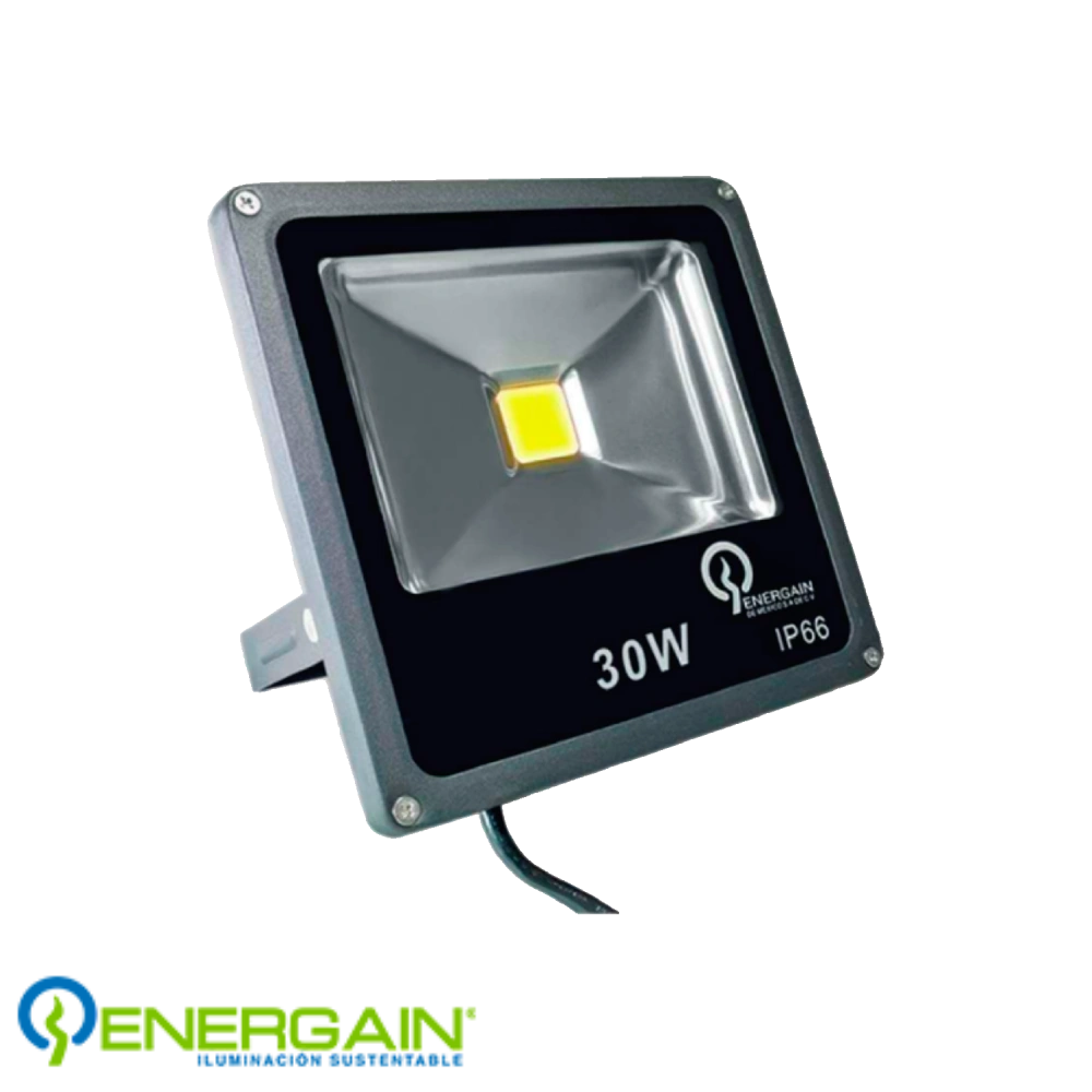 Reflector LED RGB. EG-FL-30W-RGB