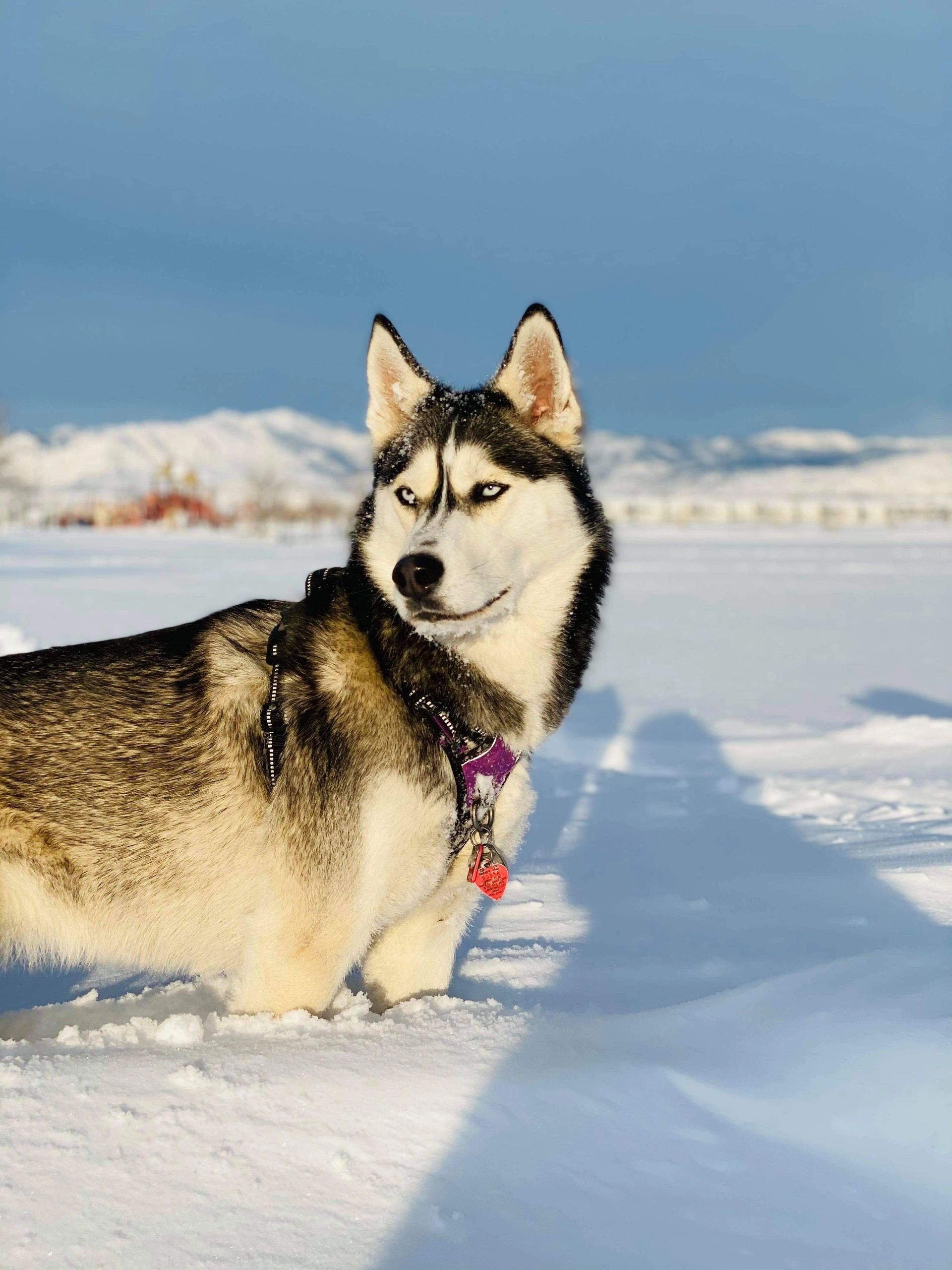 Careers | Husky Heating and Cooling