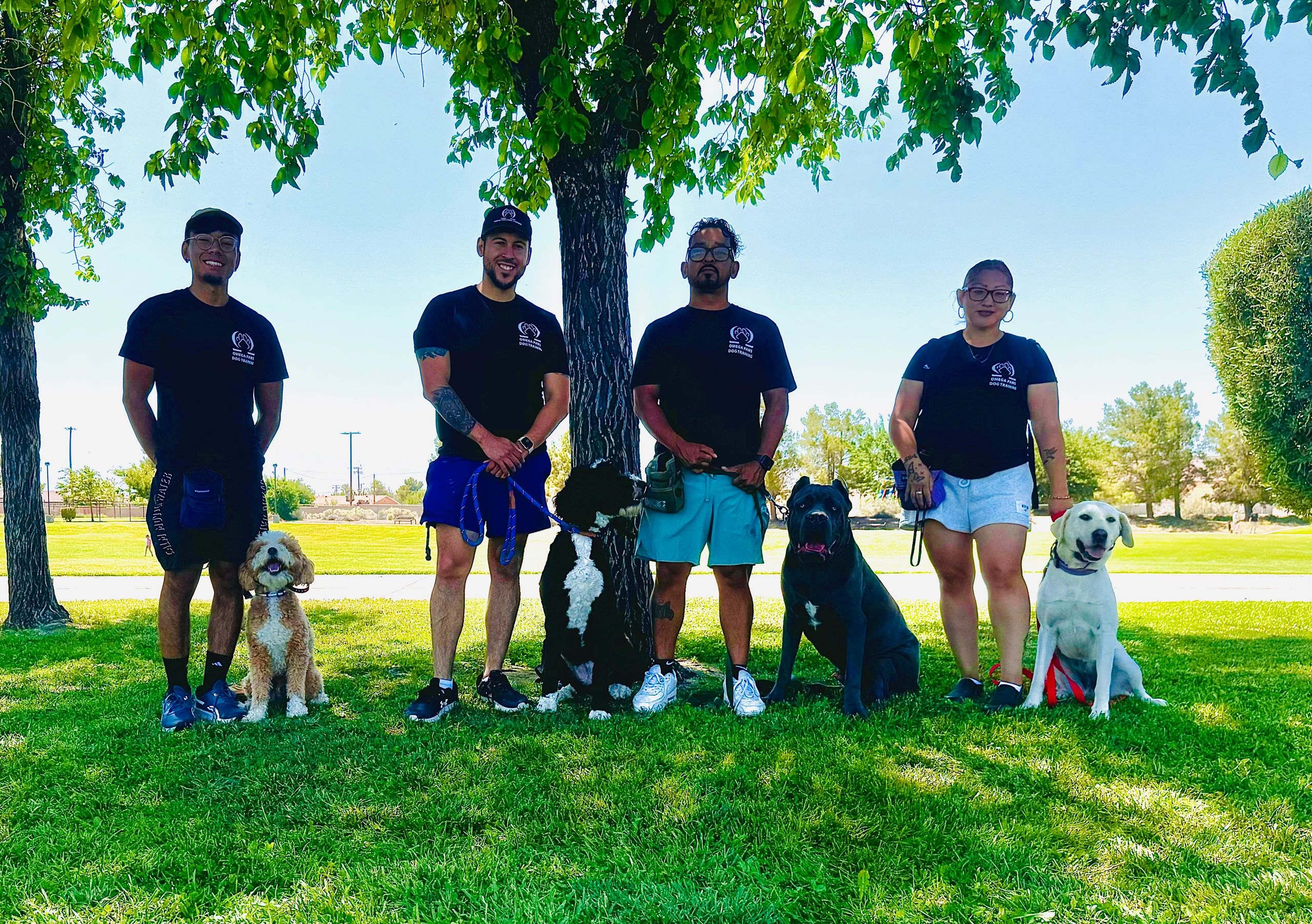 Omega Paws Dog Training