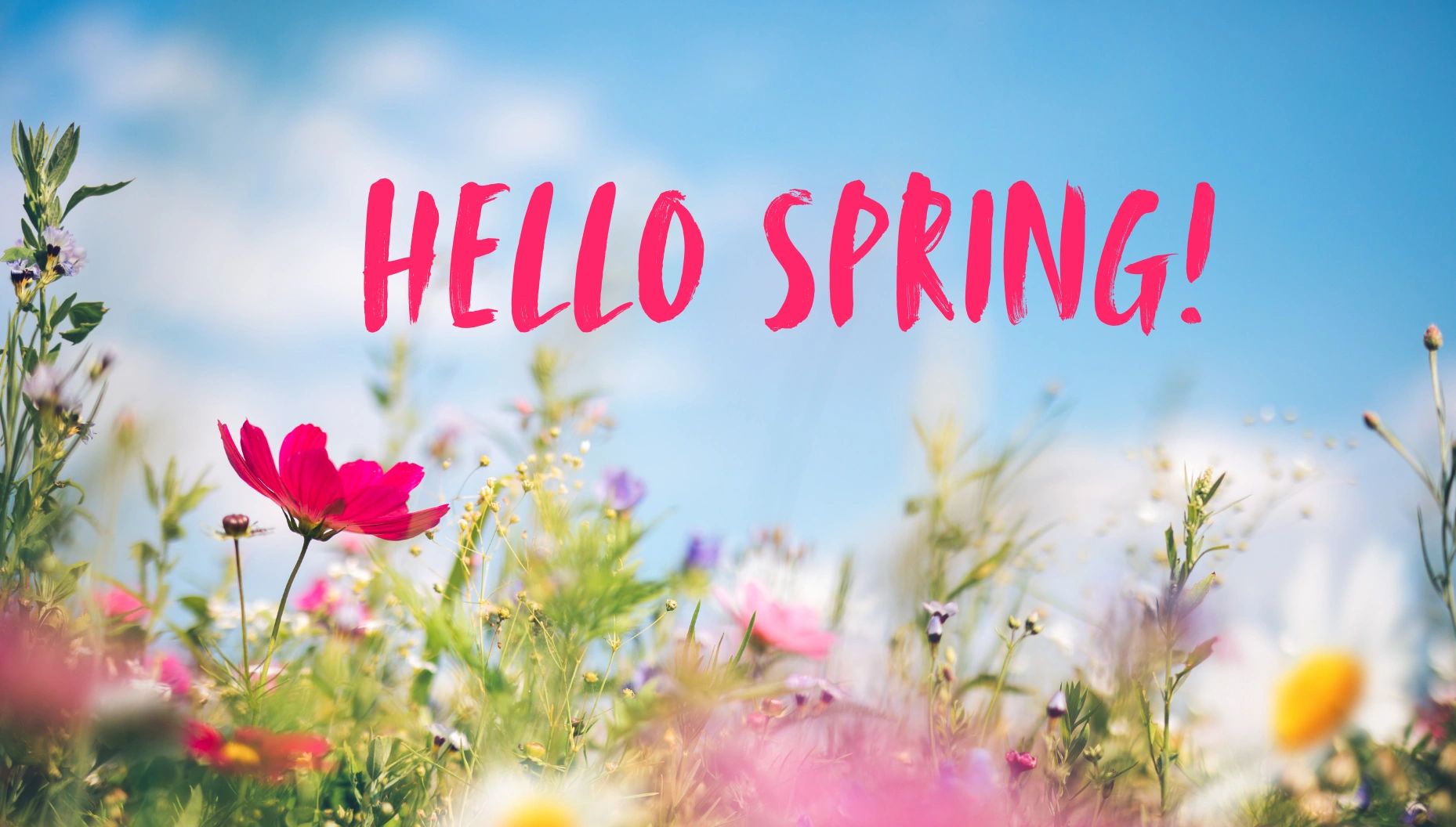 Spring Equinox: Time to Refresh, Reset, and Revitalize!