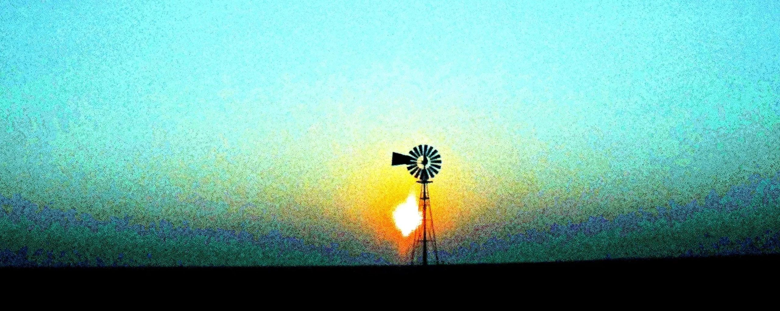 Home [carlttaylor.com]