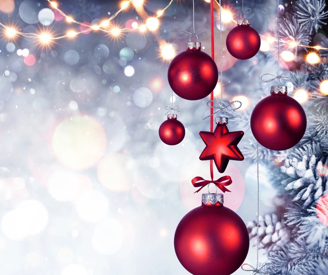 Donald's Christmas List