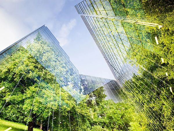 About us | Vanir Global Markets