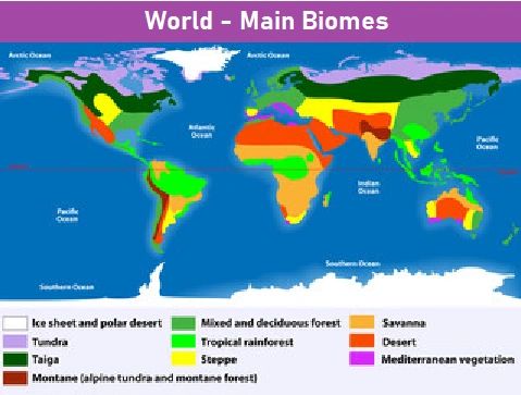 Year 9 Geography Lesson Plan - Distribution and Characteristics of Biomes