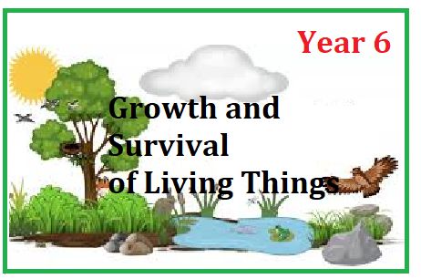 Year 6 Science Lesson Plan: Growth and Survival of Living Things