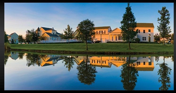 Jayne Savage real estate