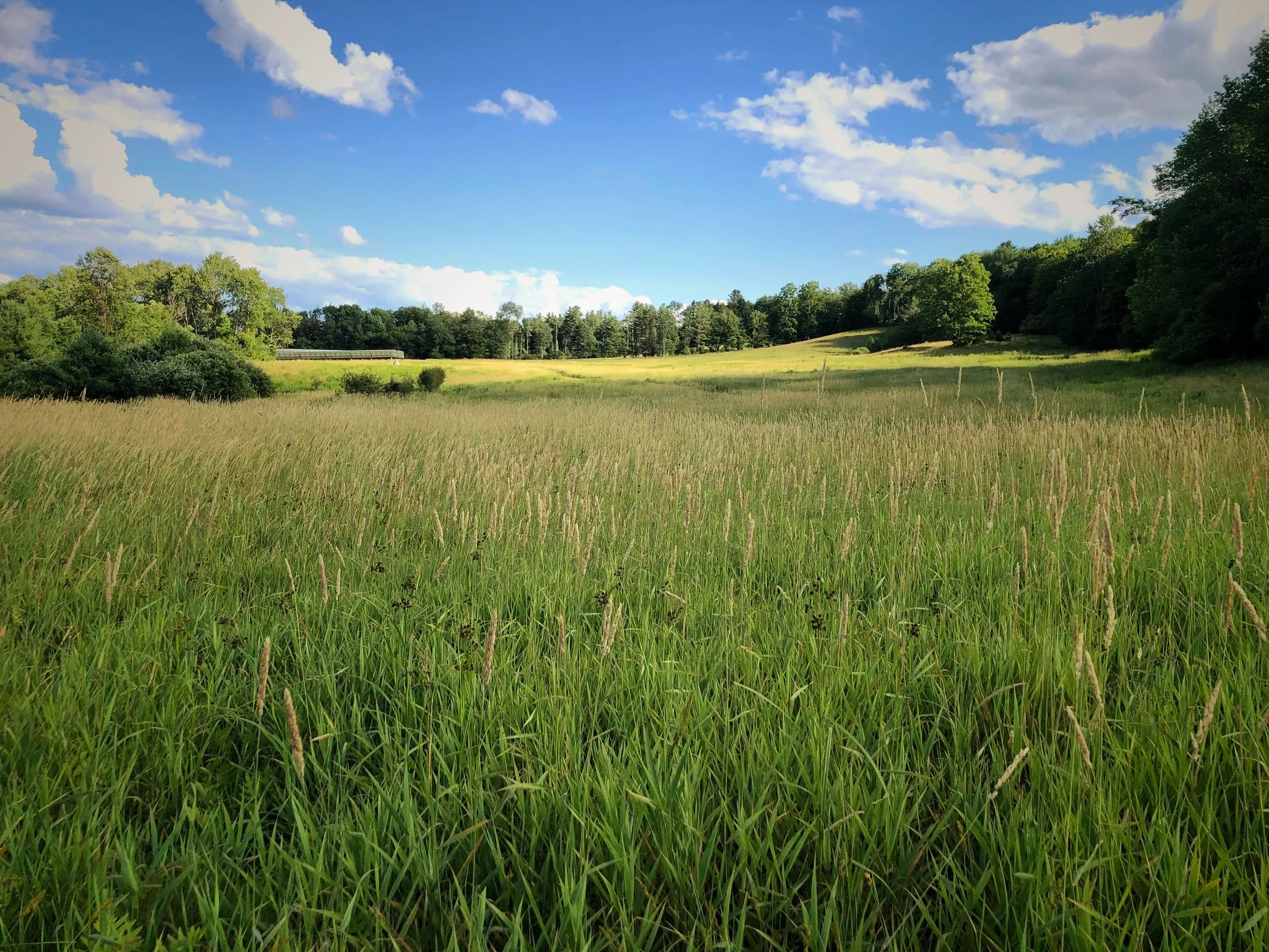 Grindstone Home Services