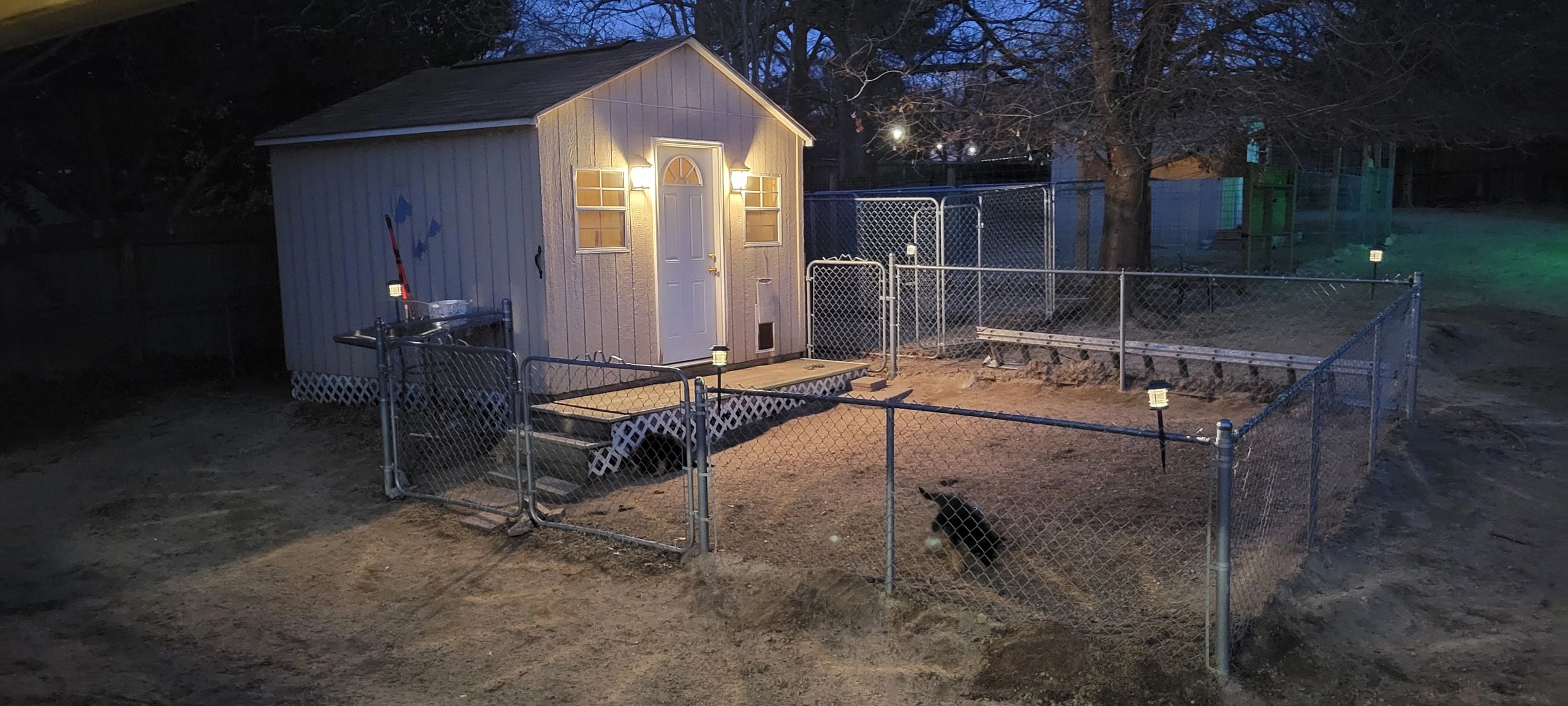 German Shepherd Puppies for Sale | Dillon's Den