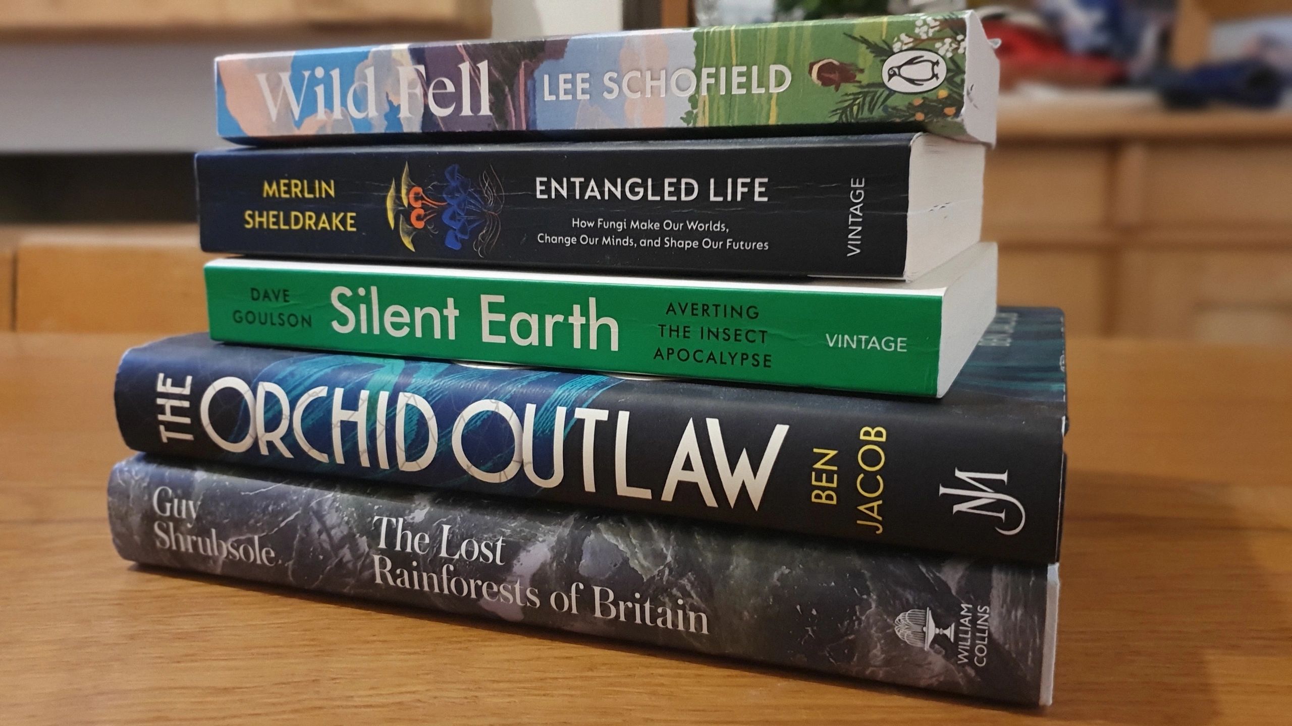 Corporate Digital Responsibility - Digital Responsibility ...