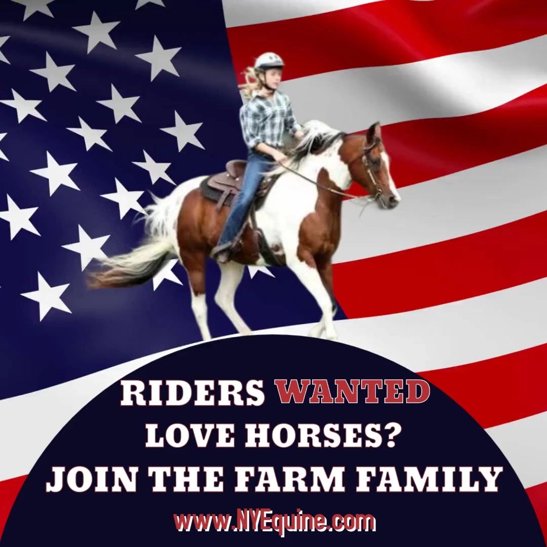 JL Performance Horses