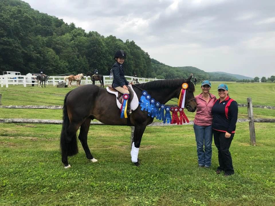 PONYSITTERS | JL Performance Horses - Ponysitters, Children Riding Lessons