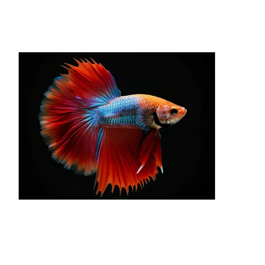 Betta Bar & Seaside Grill