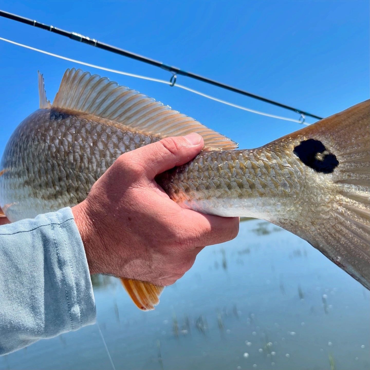 Clearwater Fishing Charter, Fishing Guide - CLEARWATER FLY FISHING ...