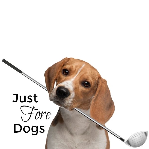 PAST TOURNAMENTS | Just Fore Dogs GOlf TOURNAMENT