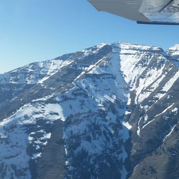 Phoenix Flight Academy LLC