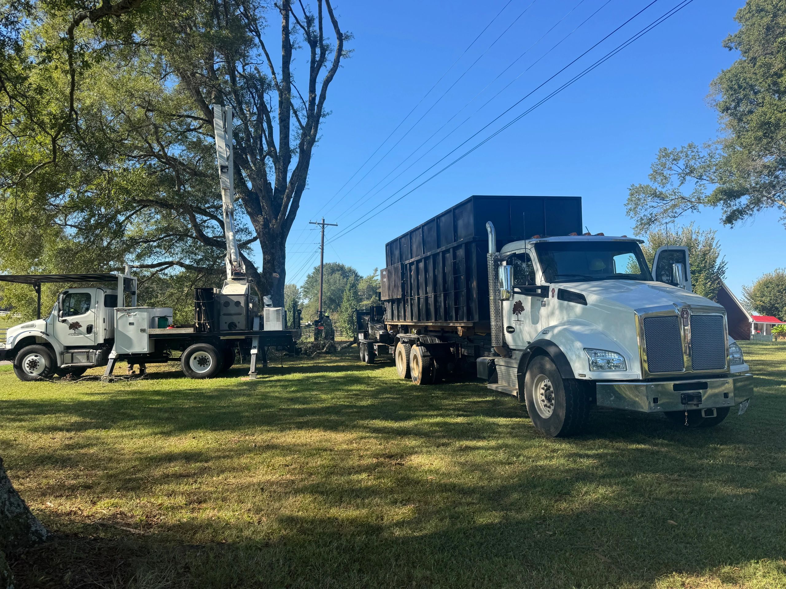 Delta Tree Service, LLC - Tree Removal, Certified Arborist