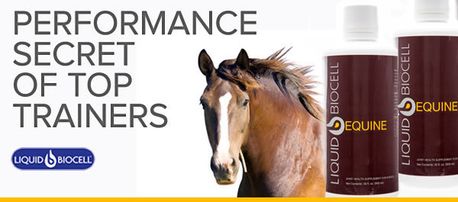 Restores Health Collagen Sciences and Clean Living - Collagen, Best ...