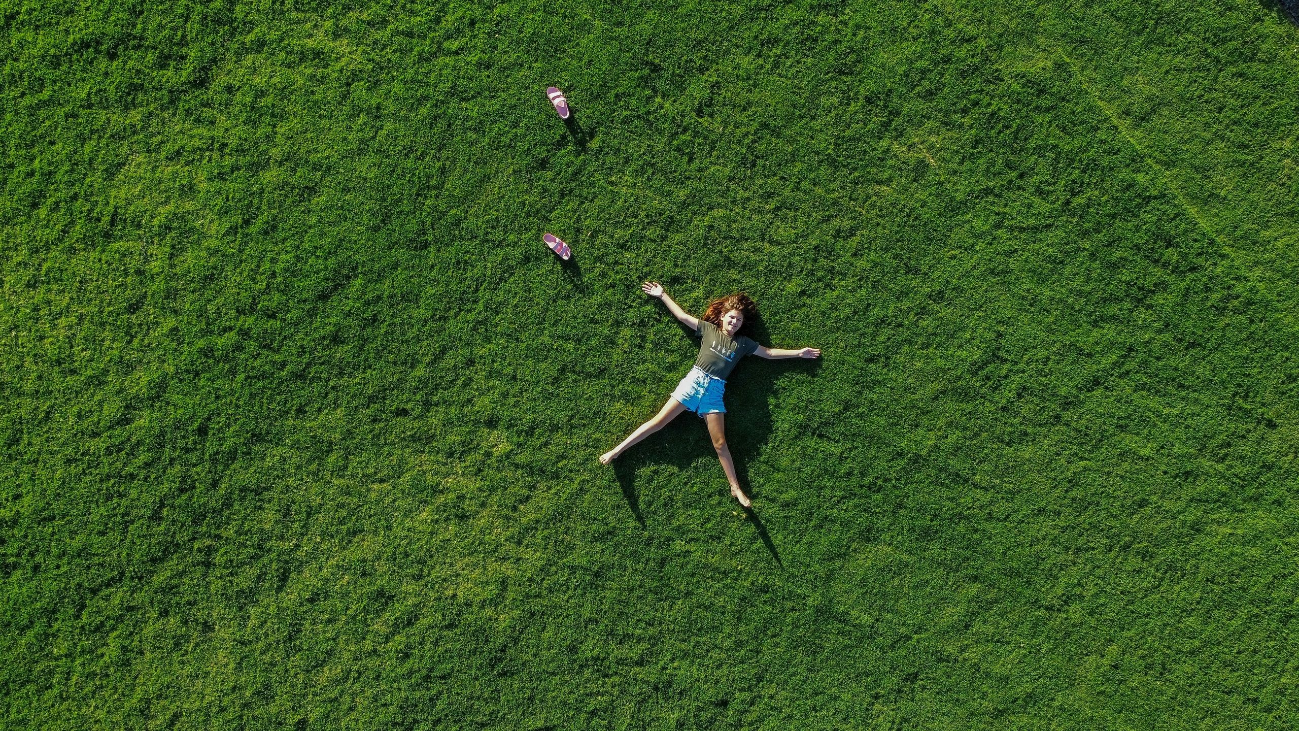 New Era - Lawn Care & Maintenance