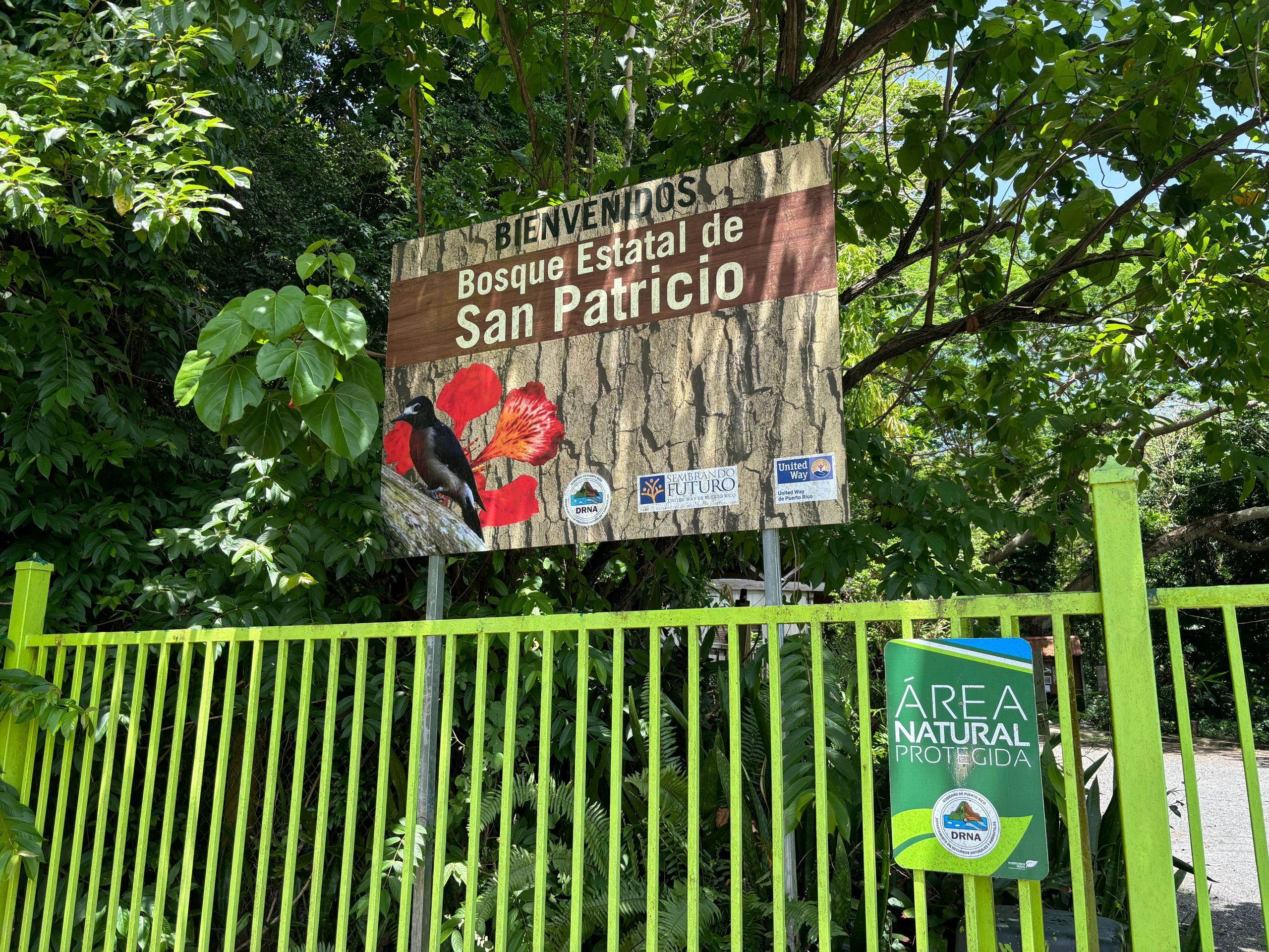 On Global Heat Action Day, protect trees and reduce emissions